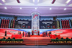 CONQUEROR™ SC PTCA Balloon Catheter of High Quality - APT Medical